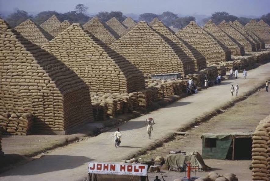 The Legacy and Revival of Nigeria's Groundnut Pyramids